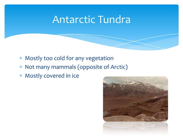 Tundra Powerpoint - B.C. Science 10 Ecology | PPTX