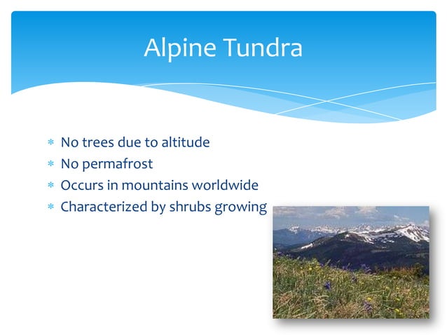 Tundra Powerpoint - B.C. Science 10 Ecology | PPTX