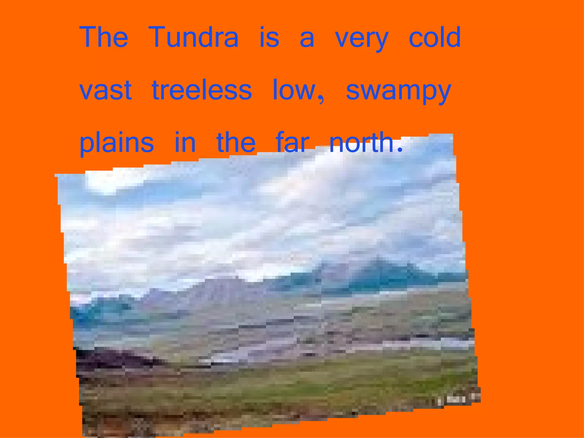 Tundra Ppt Cappel | PPT | Polar Travel | Travel Locations