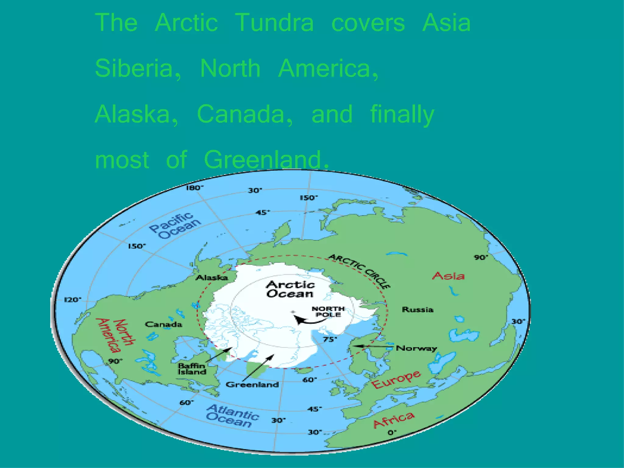 Tundra Ppt Cappel | PPT