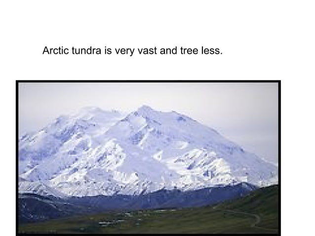 Tundra Ppt Ramstetter | PPT