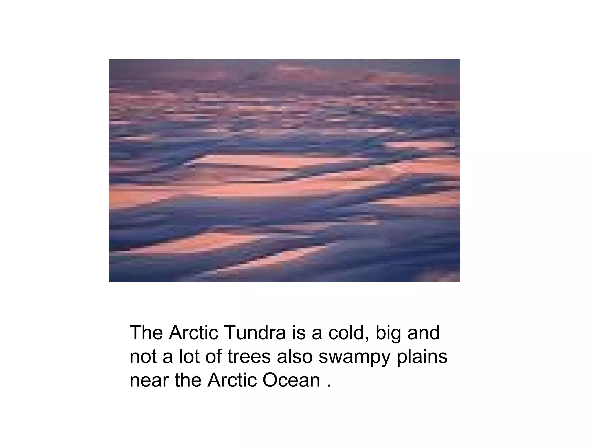 Tundra Ppt Roll | PPT