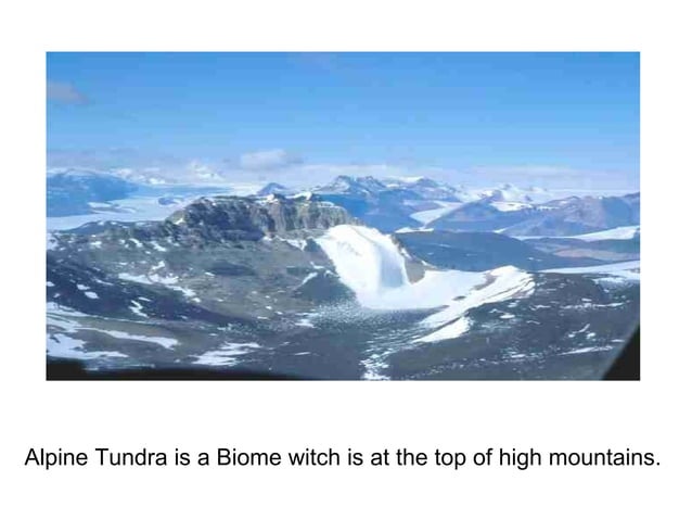 Tundra Ppt Roll | PPT