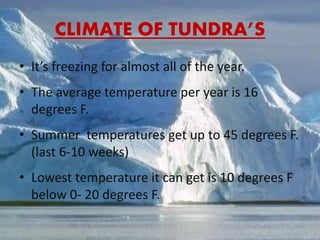 Tundra Biome Precipitation And Temperature