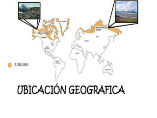 Mapa Del Bioma De La Tundra ártica Y Alpina