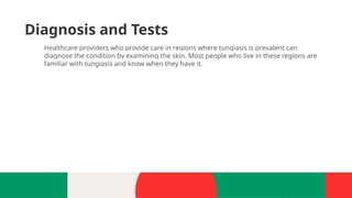 tungiasis parasites diseases lecture.pptx