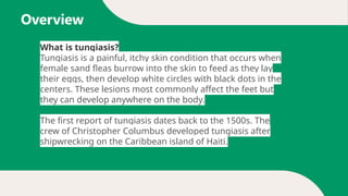 tungiasis parasites diseases lecture.pptx