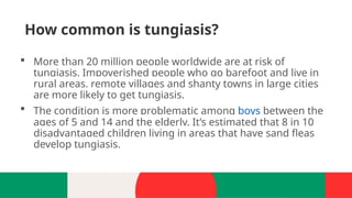 tungiasis parasites diseases lecture.pptx