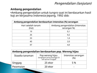 PENGENALAN PENYAKIT TUNGRO PADA TANAMAN PADI.ppt