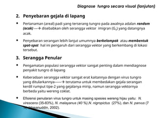 PENGENALAN PENYAKIT TUNGRO PADA TANAMAN PADI.ppt