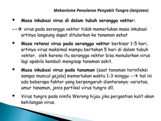PENGENALAN PENYAKIT TUNGRO PADA TANAMAN PADI.ppt