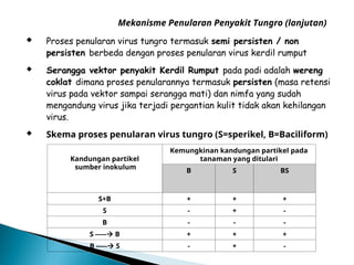 PENGENALAN PENYAKIT TUNGRO PADA TANAMAN PADI.ppt