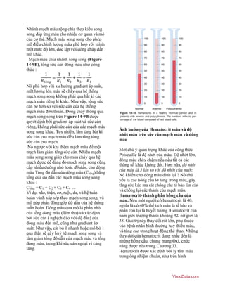 Tuần hoàn.pdf hahuhjghkghghkghghhhhhhhhh | PDF