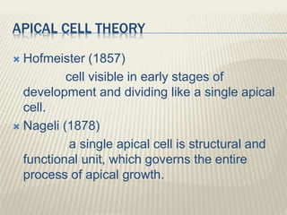 Tunica carpus theory | PPTX