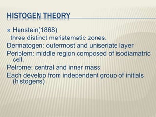 Tunica carpus theory | PPTX
