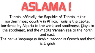 TUNISIA presentation for freeckmkddd.pdf