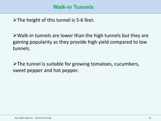 Tunnel farming | PPTX