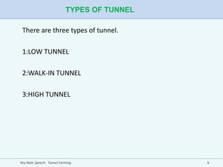 Tunnel farming | PPTX