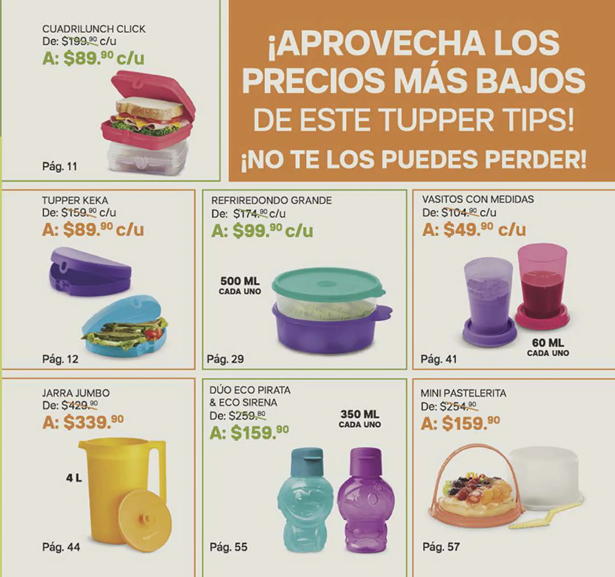 Tupper_Tips_NORTE.pdf