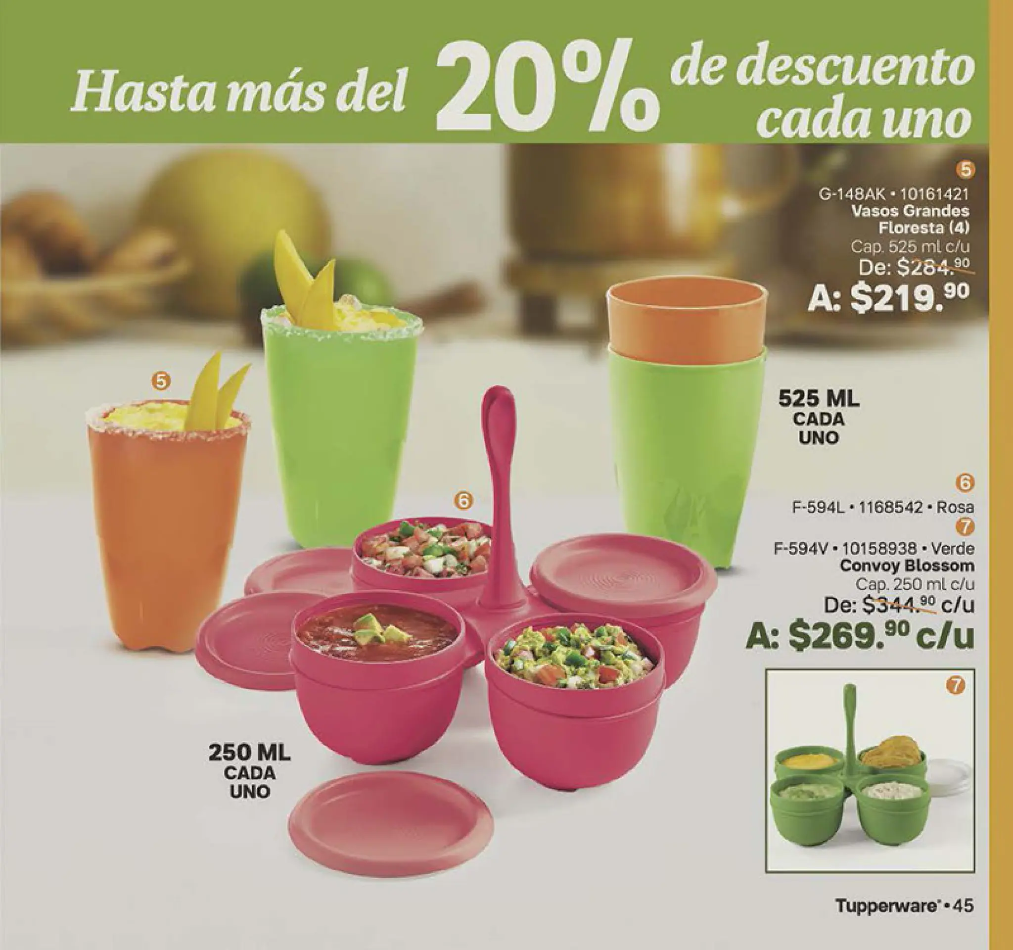 Tupper_Tips_NORTE.pdf