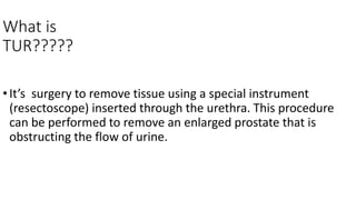 Tur By Tanzyanikan Hampton | PPTX