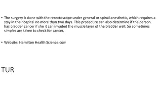 Tur By Tanzyanikan Hampton | PPTX