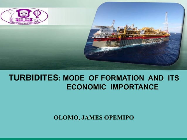 TURBIDITES: MODE OF FORMATION OF TURBIDITES AND ITS ECONOMIC IMPORTANCE ...