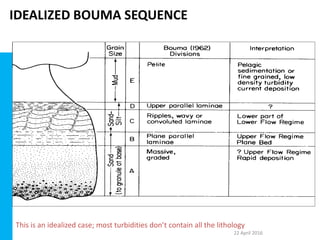 TURBIDITES: MODE OF FORMATION OF TURBIDITES AND ITS ECONOMIC IMPORTANCE ...