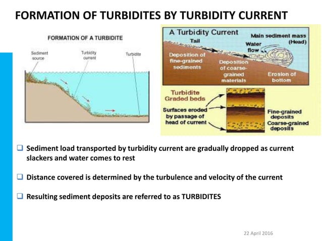 TURBIDITES: MODE OF FORMATION OF TURBIDITES AND ITS ECONOMIC IMPORTANCE ...