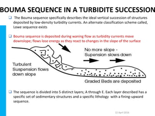 TURBIDITES: MODE OF FORMATION OF TURBIDITES AND ITS ECONOMIC IMPORTANCE ...