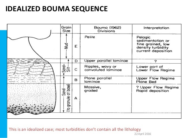 TURBIDITES: MODE OF FORMATION OF TURBIDITES AND ITS ECONOMIC IMPORTAN…