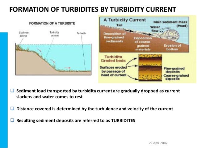 TURBIDITES: MODE OF FORMATION OF TURBIDITES AND ITS ECONOMIC IMPORTAN…