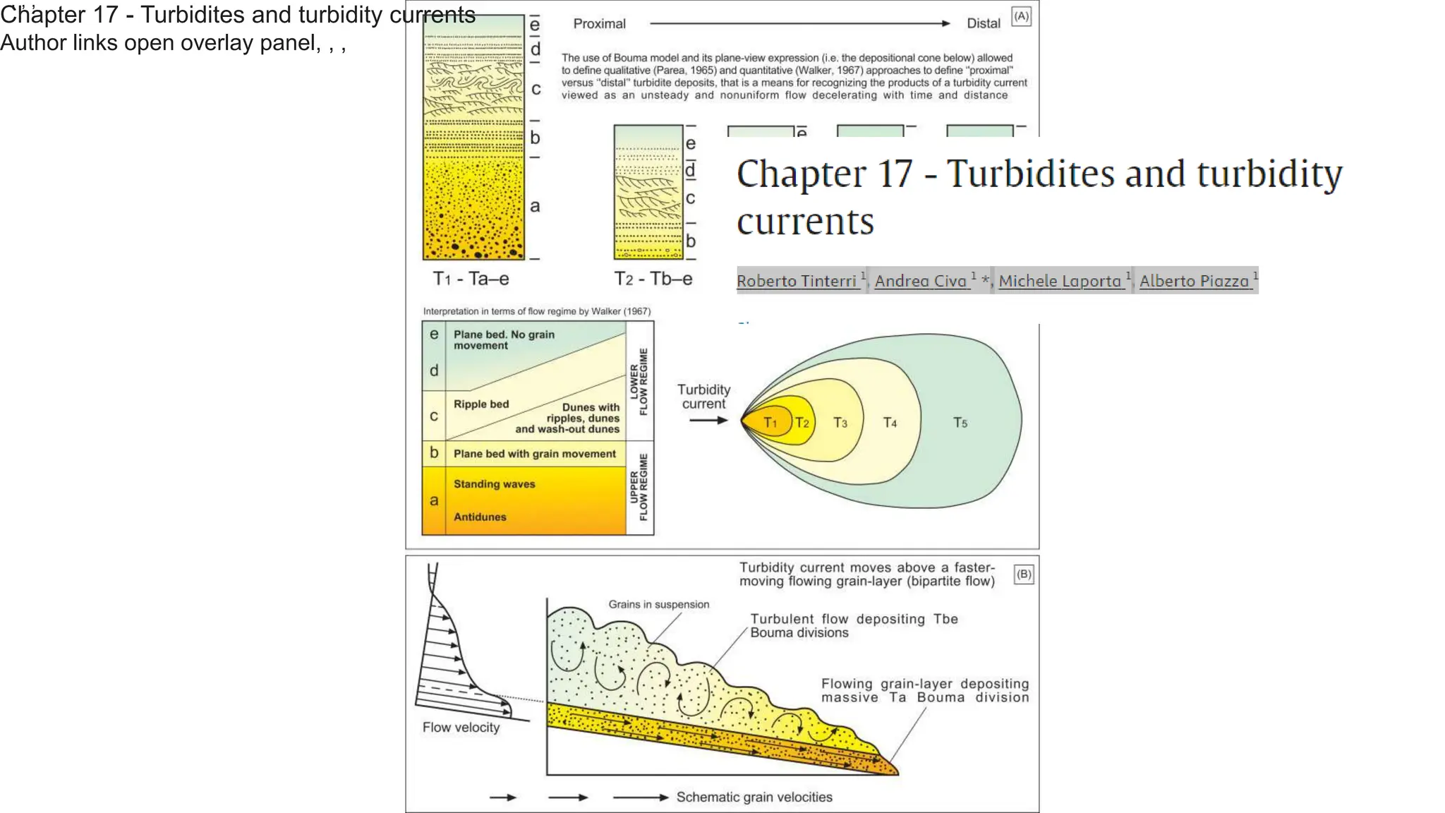 Turbidite System the general reference of depositional .pptx