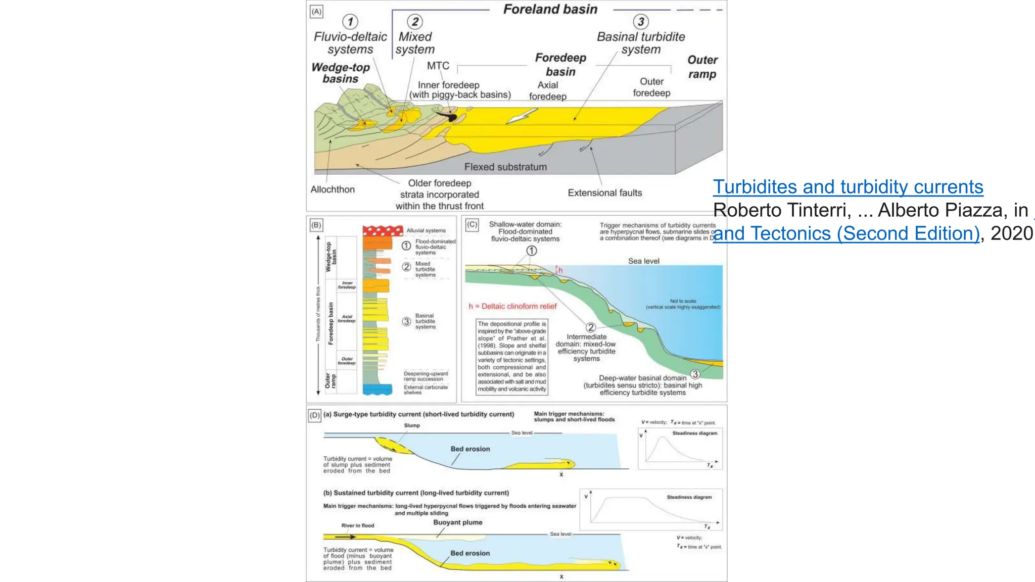 Turbidite System the general reference of depositional .pptx