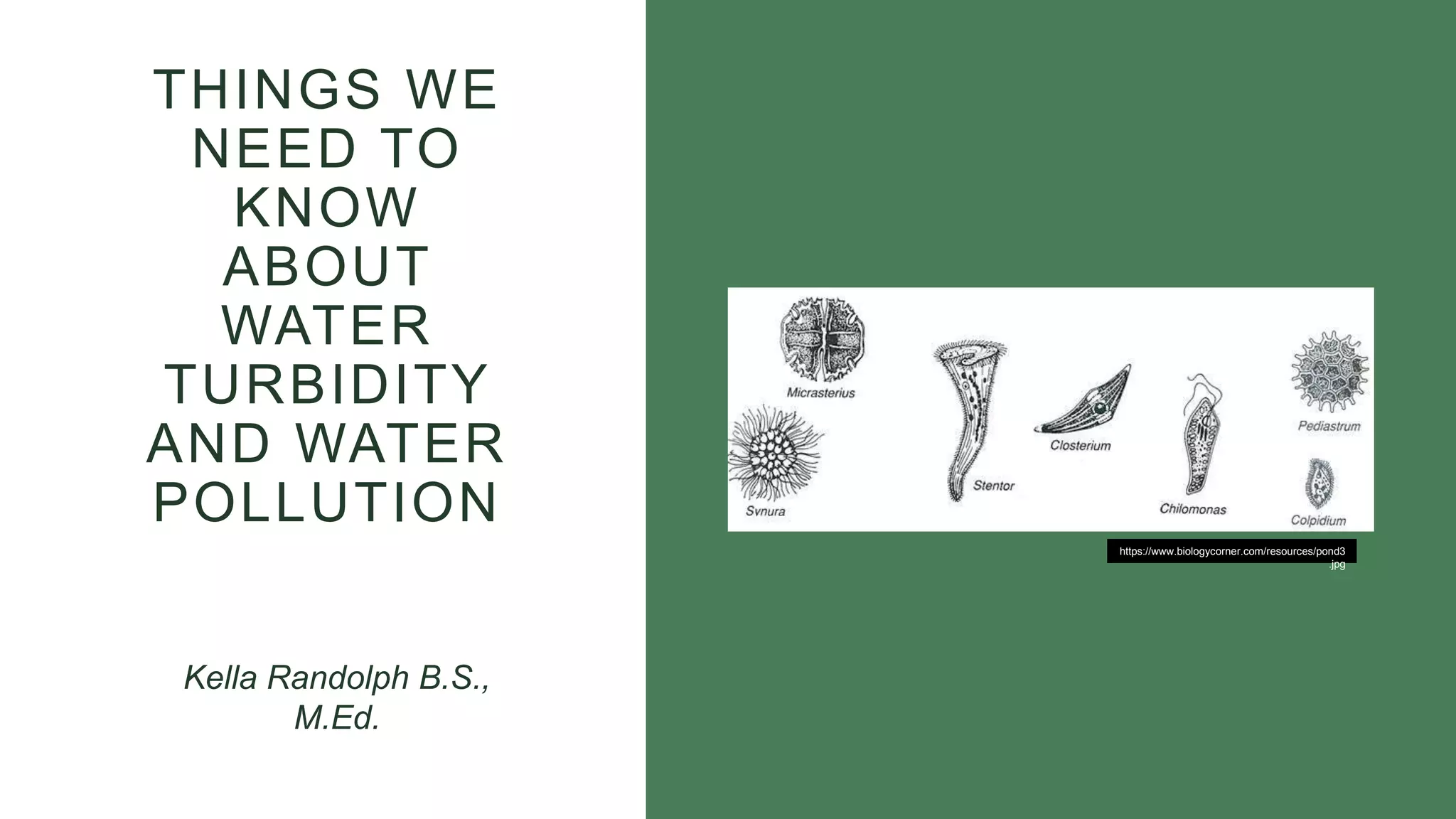 Turbidity and water pollution | PPT