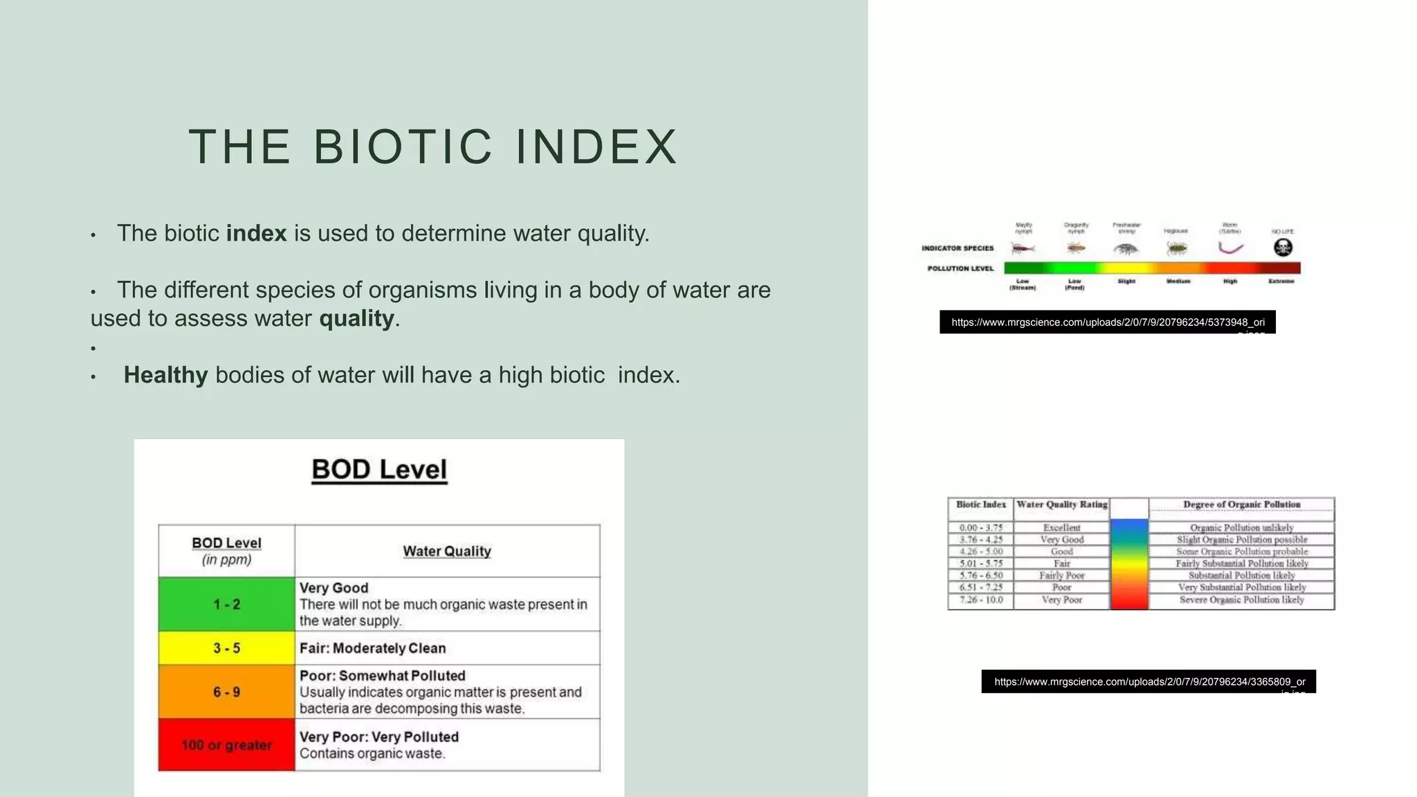 Turbidity and water pollution | PPT