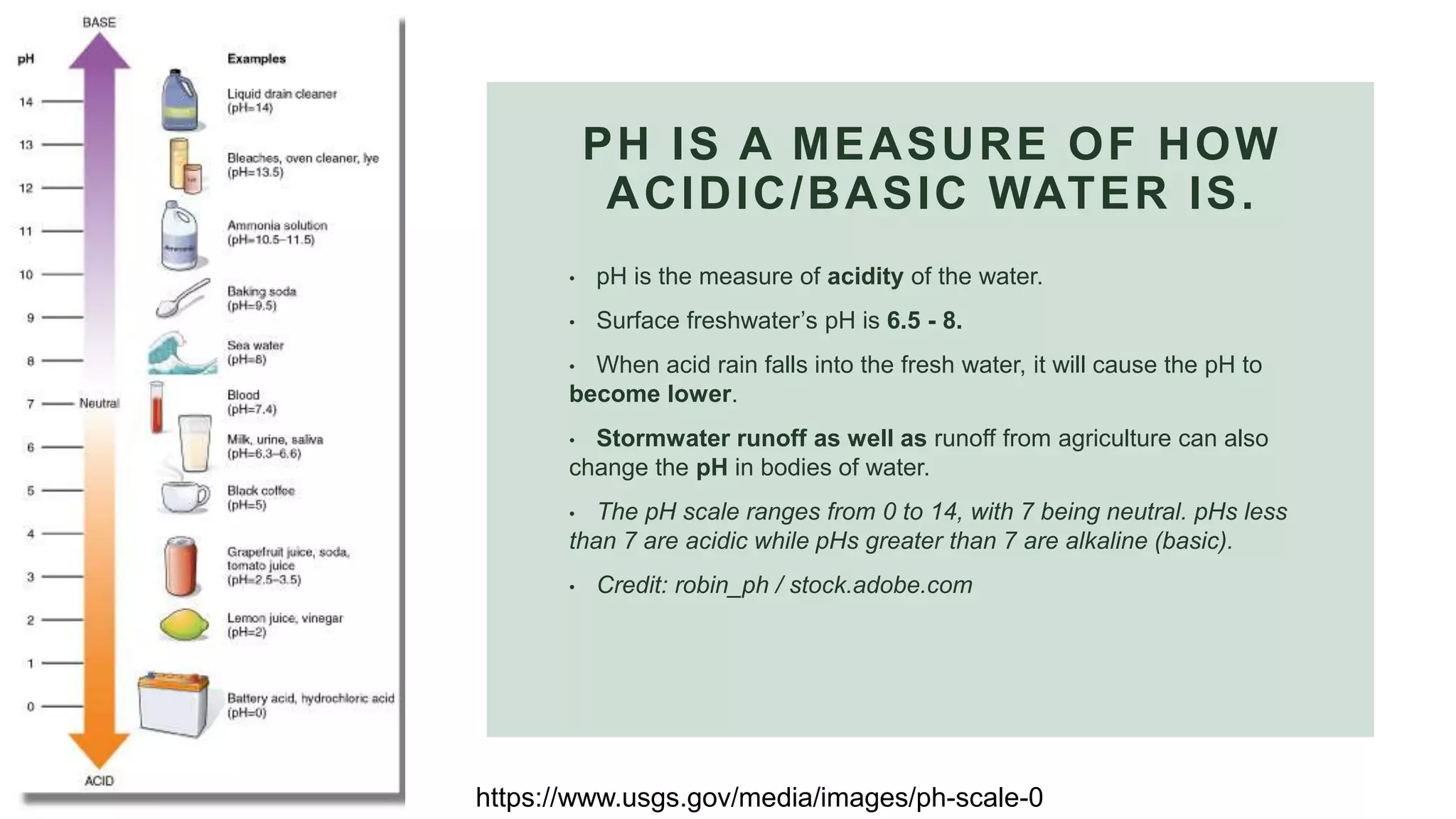 Turbidity and water pollution | PPT
