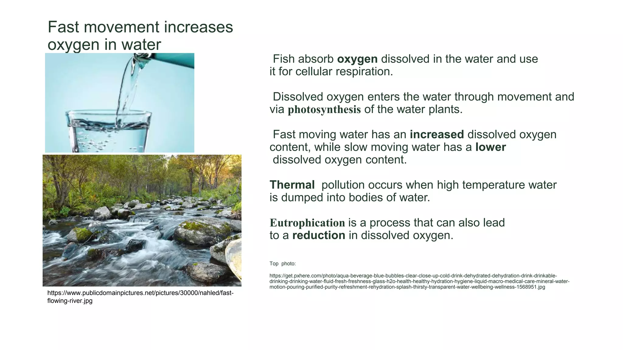 Turbidity and water pollution | PPT