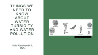 Turbidity and water pollution | PPT