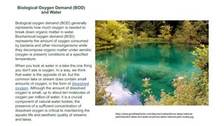 Turbidity and water pollution | PPT