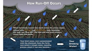 Turbidity and water pollution | PPT