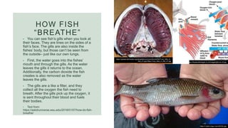 Turbidity and water pollution | PPTX