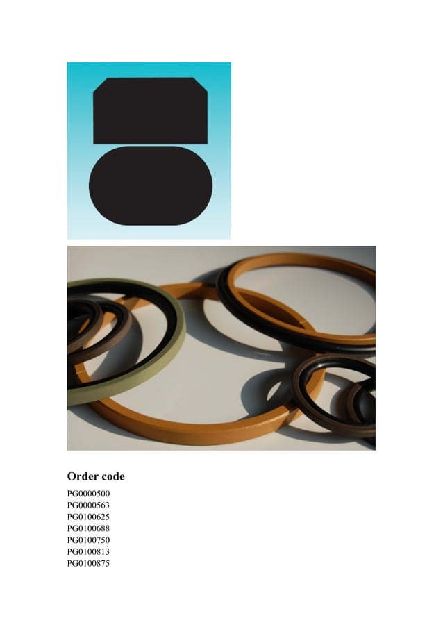 Turcon glyd ring | PDF