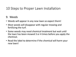 Turf Establishment | PDF