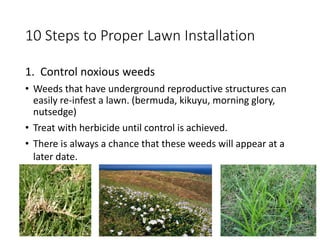 Turf Establishment | PDF