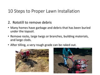 Turf Establishment | PDF