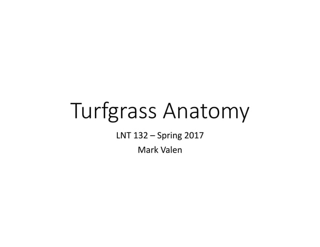 Turfgrass Anatomy | PDF