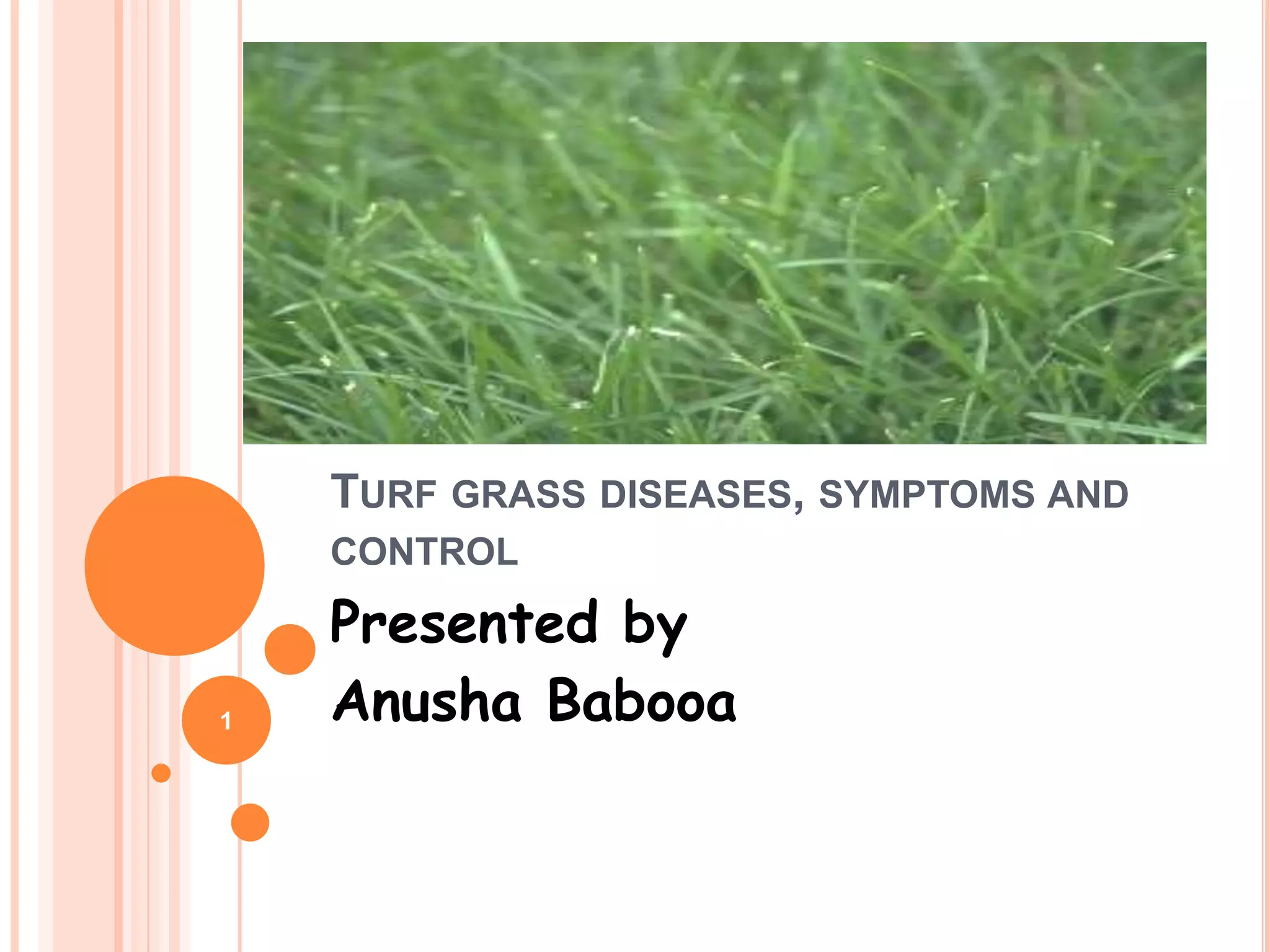 Turf grass diseases, symptoms and control | PPTX