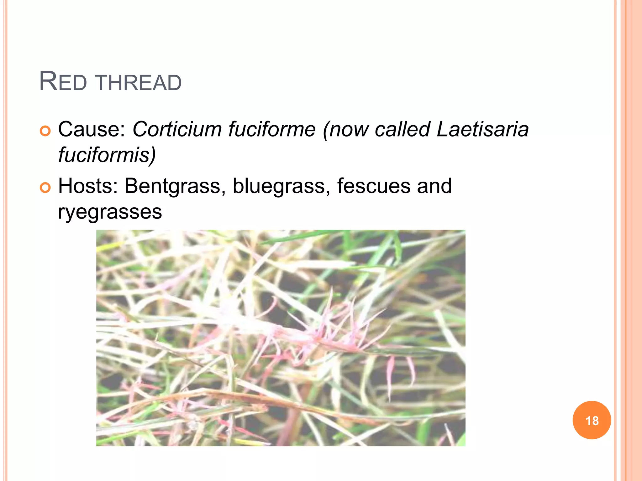 Turf grass diseases, symptoms and control | PPTX