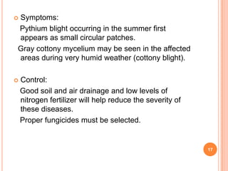 Turf grass diseases, symptoms and control | PPTX | Gardening | Home & Garden